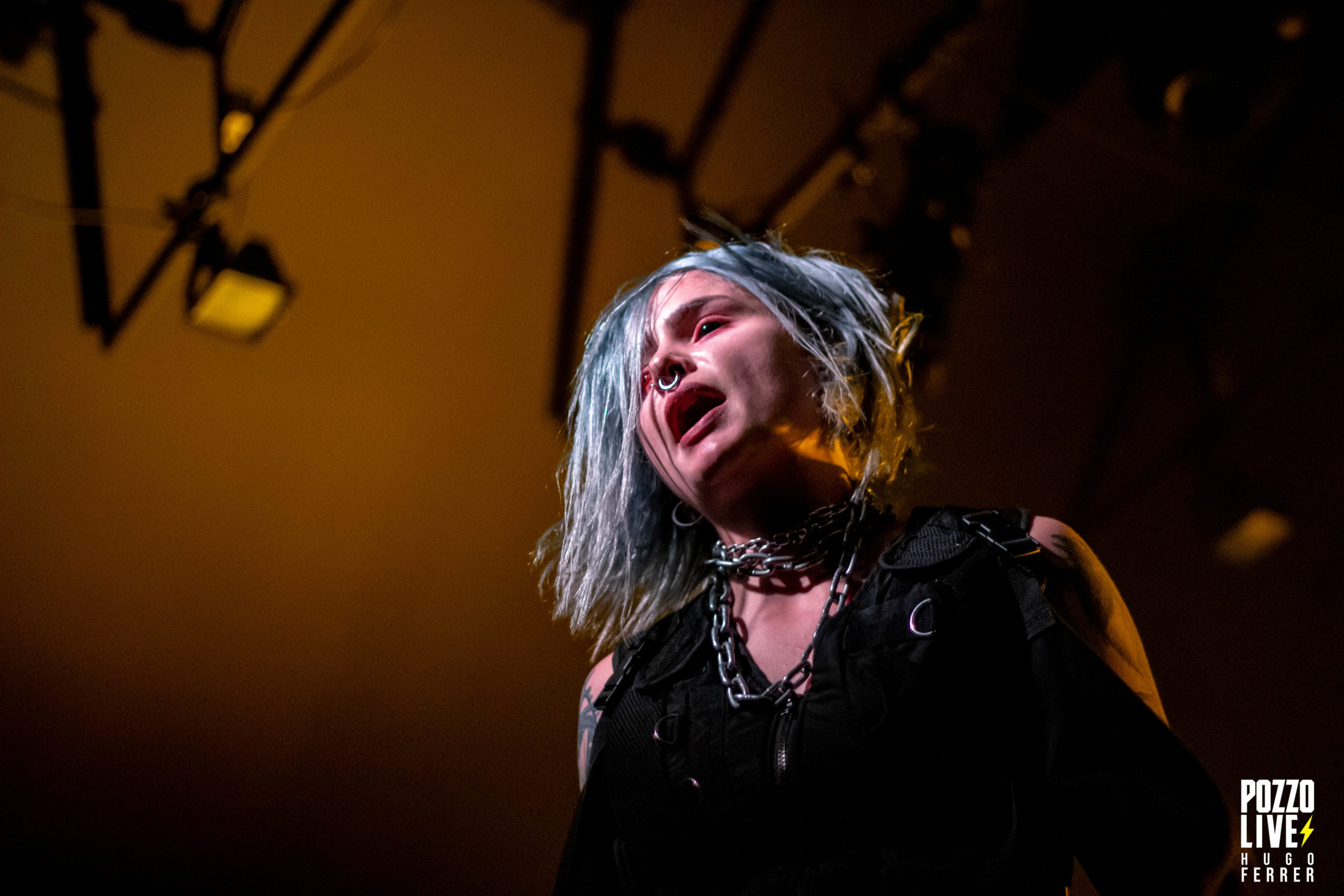 Mimi Barks (6) - Pozzo Live